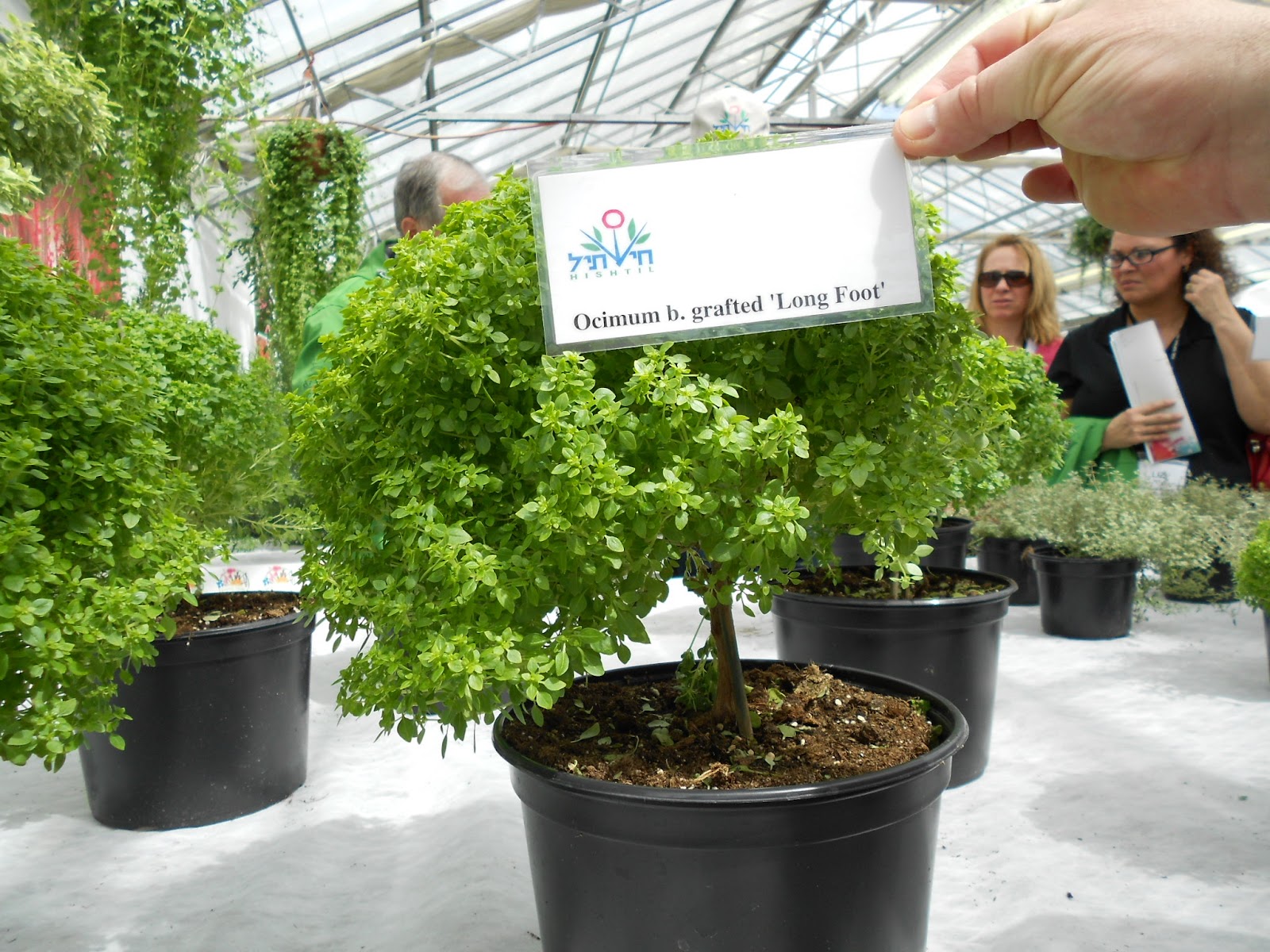 Nathan's Notes: Pacific Plug and Liner