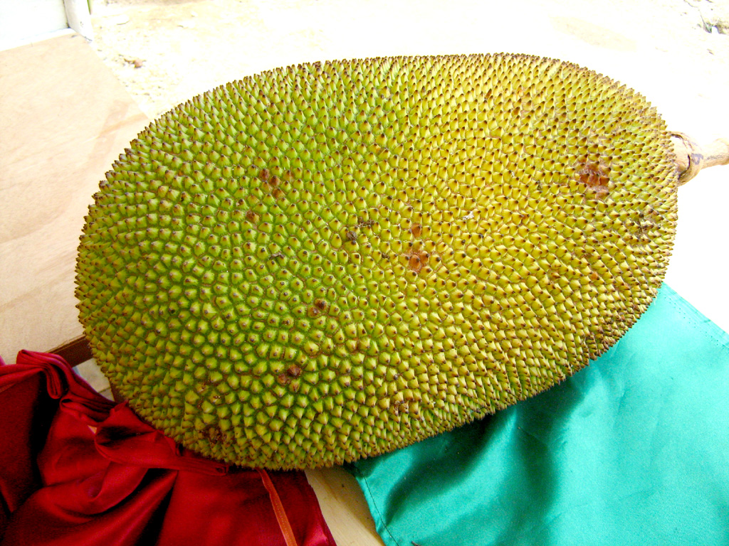 Jackfruit - Fruits And Vegetables