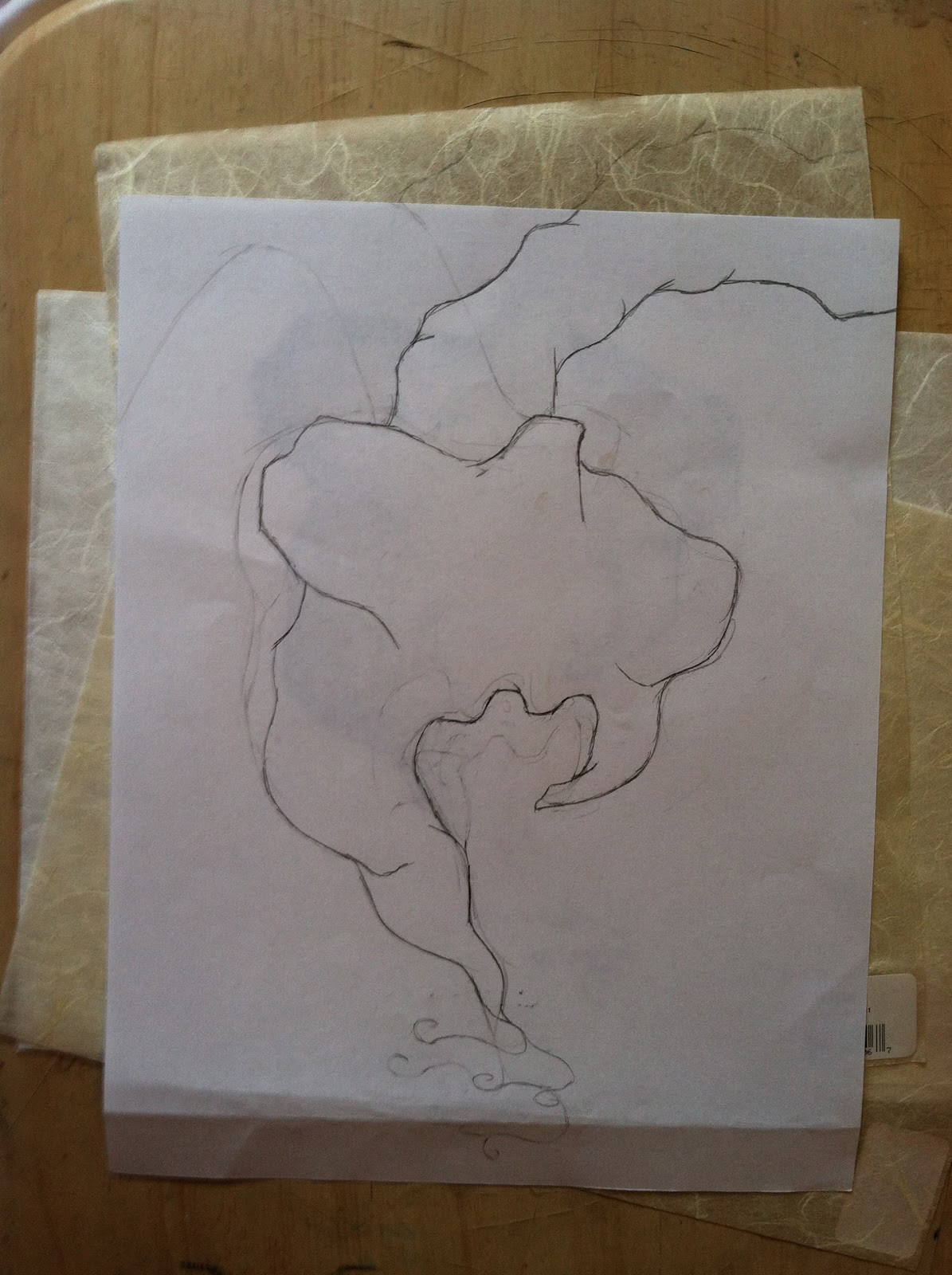 Natalie A. Kahn: Photogram Ideas