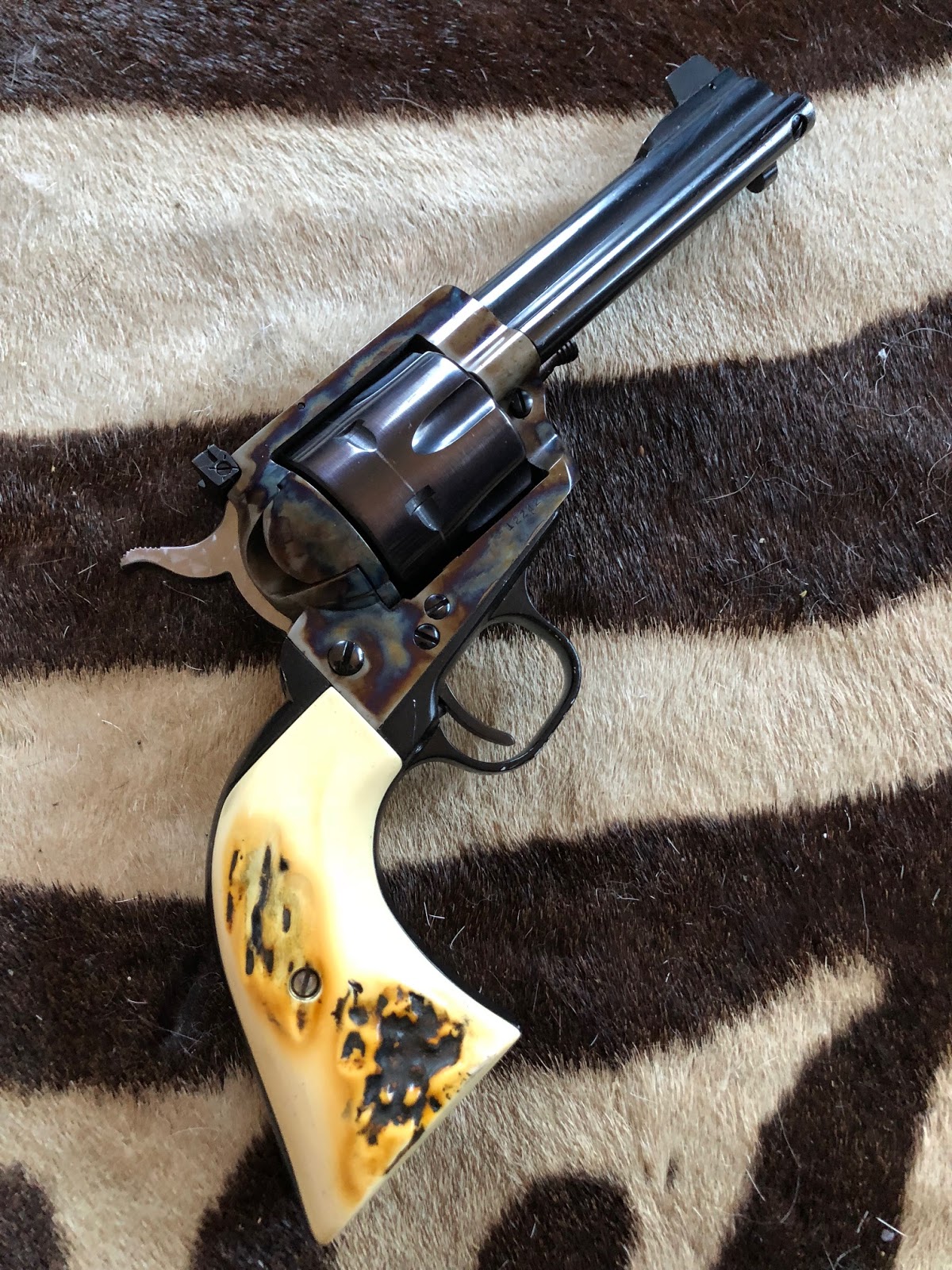 The Michael Bane Blog