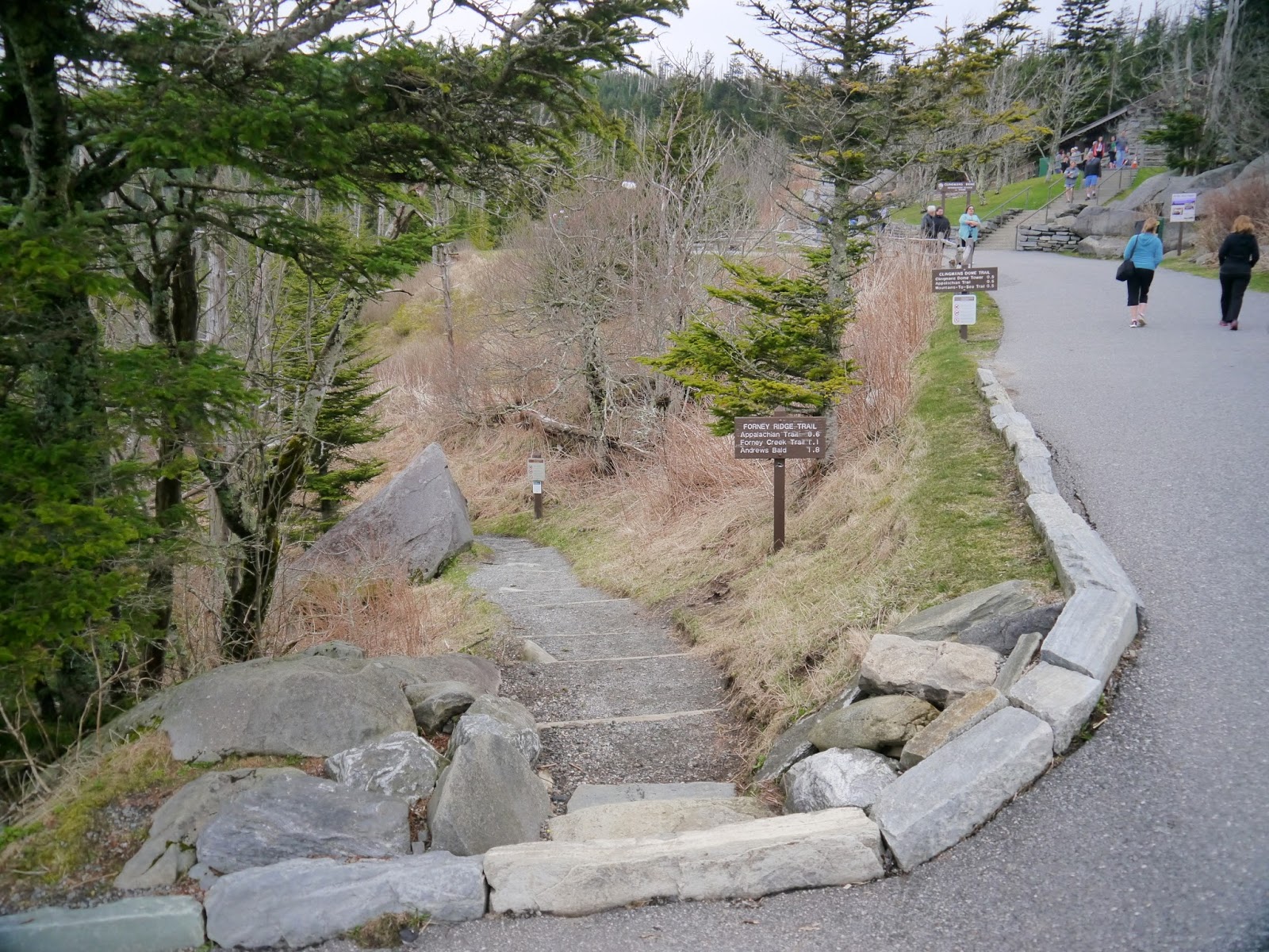 American Travel Journal: Forney Ridge Trail - Great Smoky Mountains ...