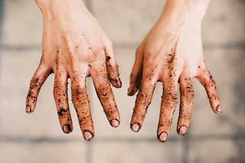 Morning by morning...: The Ministry of Weed Pulling