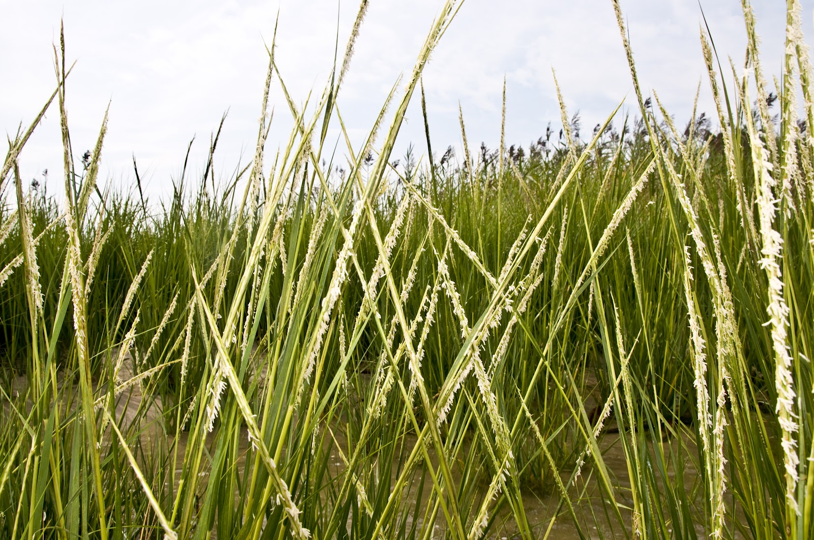 Photograph of the Day: September 2012