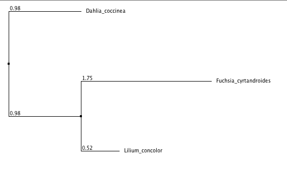 Simple vs. Compound Flowers