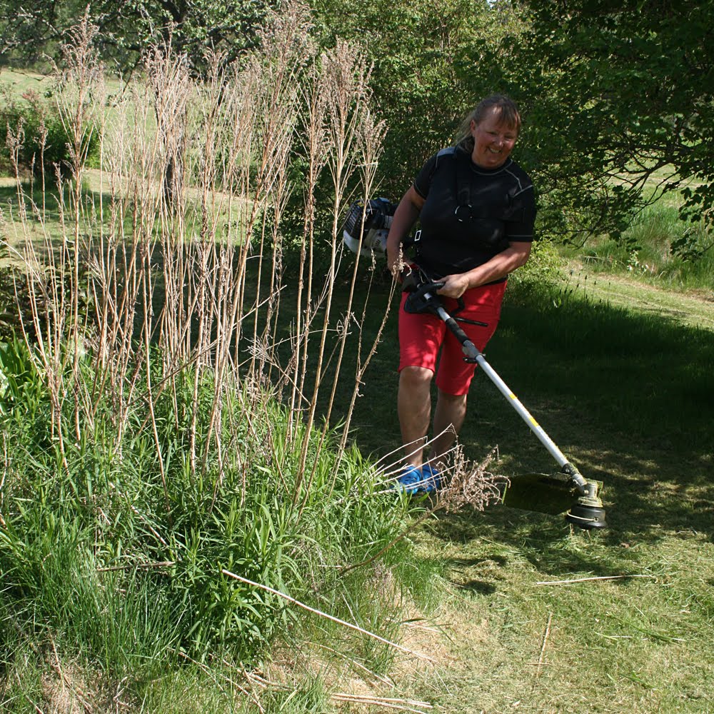 Ritas Fryd: Oppusser og utforsker