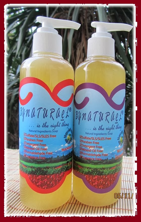 B Y n a T U R a e L: 10 gross ingredients you didn't know were in your food