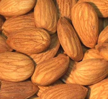 kacang garuda