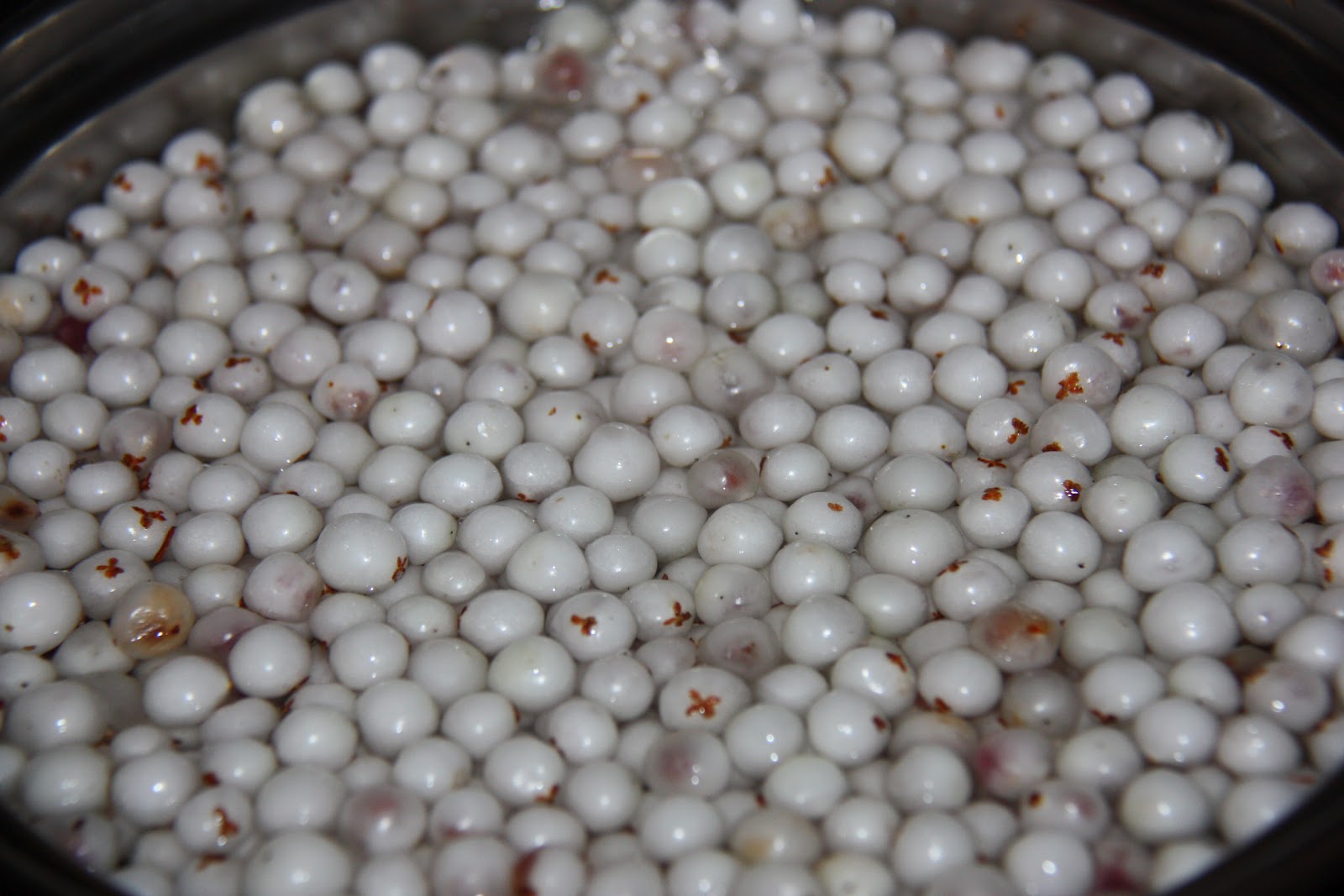 Tentações sobre a Mesa: Geleia de Camarinhas