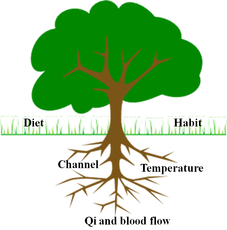 The Way to True Health: 2011