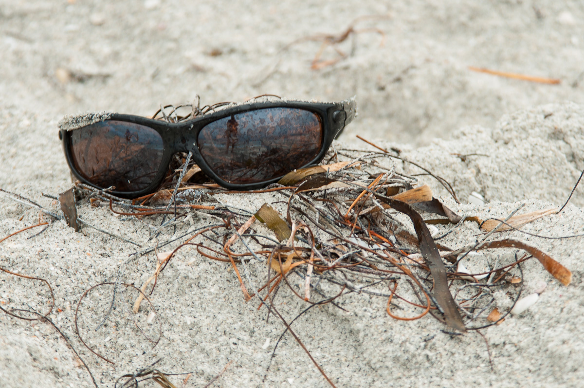A Tree Falling: Manatee Park/Sanibel & Captiva Islands
