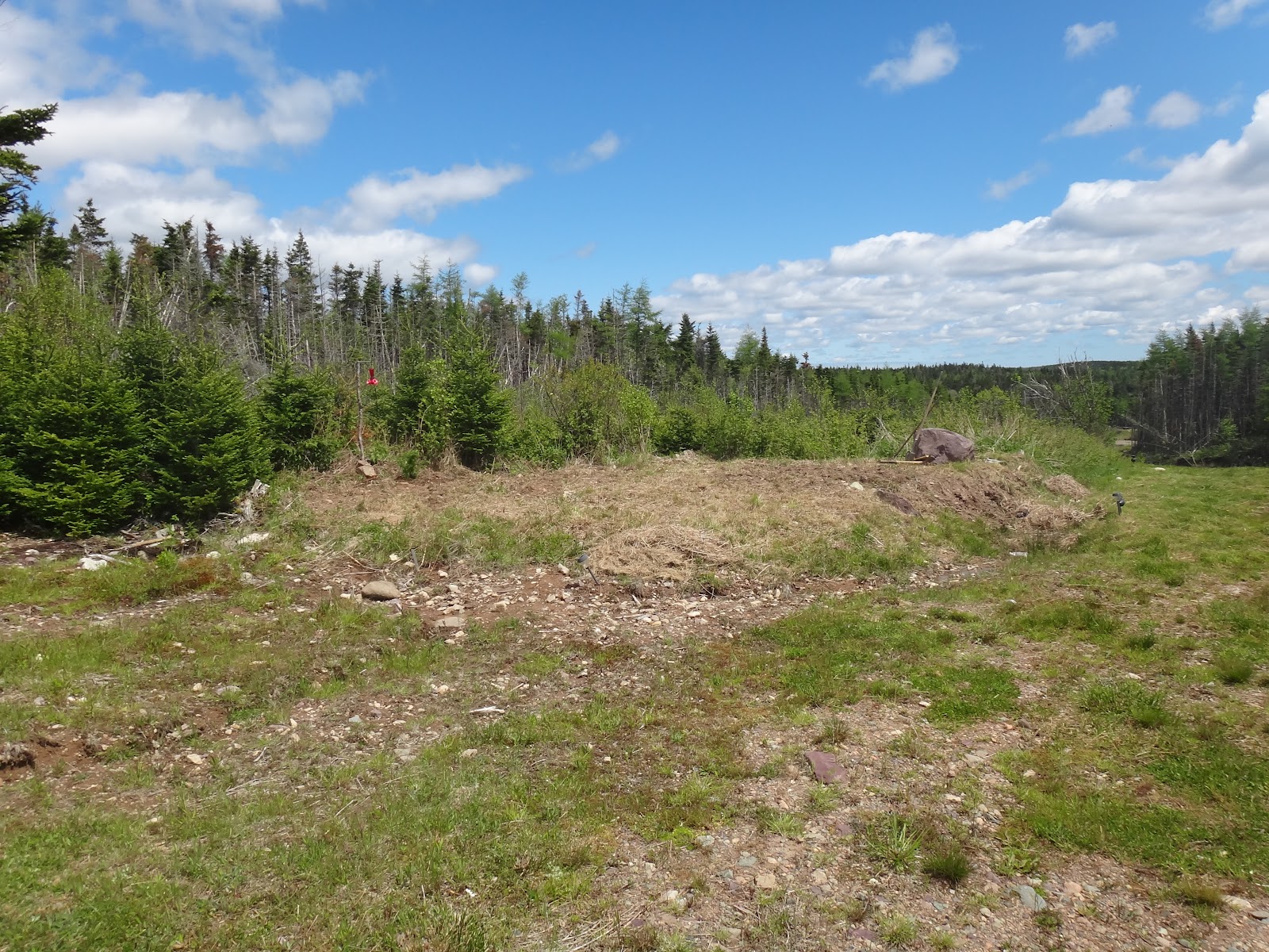 ~Framboise Manor~: june, june, junie, joon, june - jooney, juney, junie ...