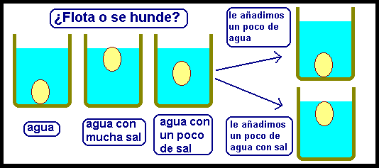 EL RINCÓN DE LA CIENCIA: ¿CÓMO HACER FLOTAR UN HUEVO?