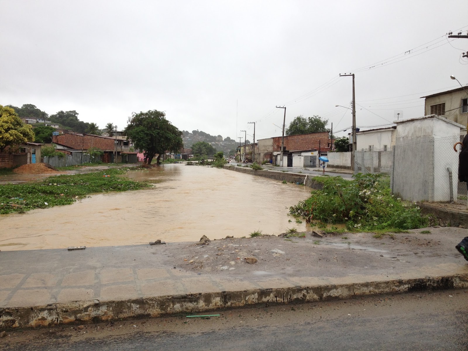 BEBERIBE NA REDE UM BAIRRO HISTÓRICO DO RECIFE: O descaso com o Rio ...
