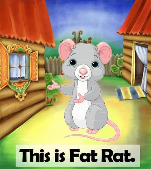 Teacher Fun Files: Bat Cat and Fat Rat