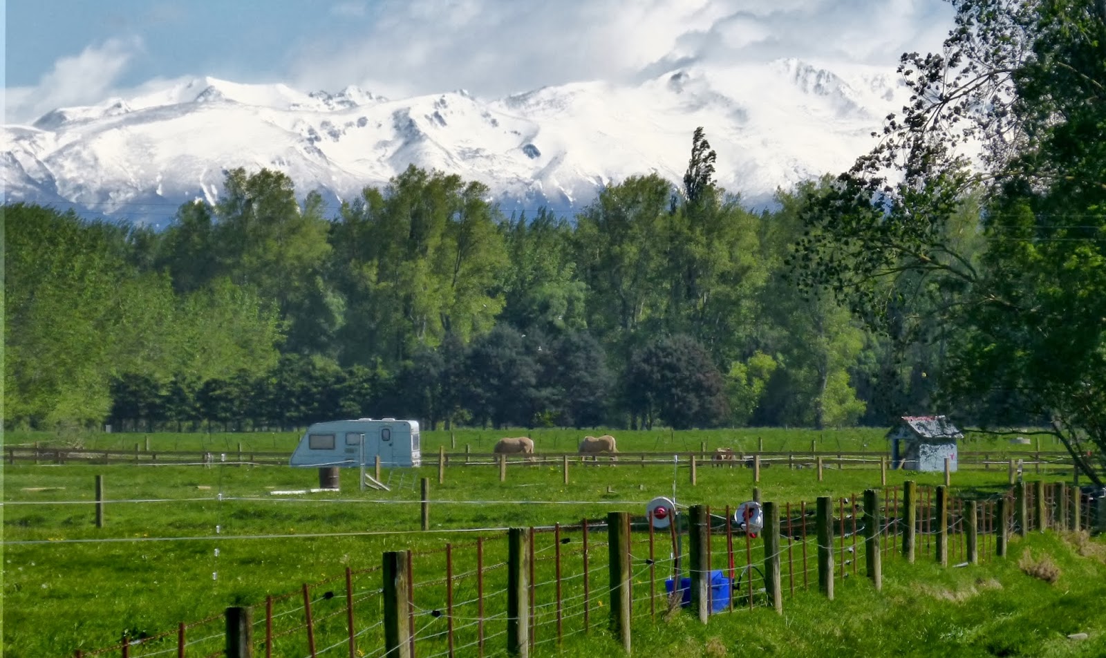 Ray's Retirement: NZ - the trains at Pleasant Point