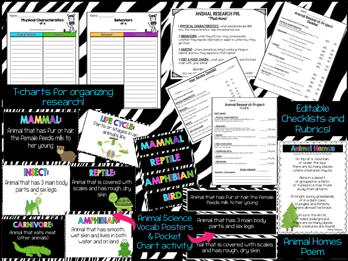 Mrs. MeGown's Second Grade Safari: Week 3: I've Made my Masterpiece!!