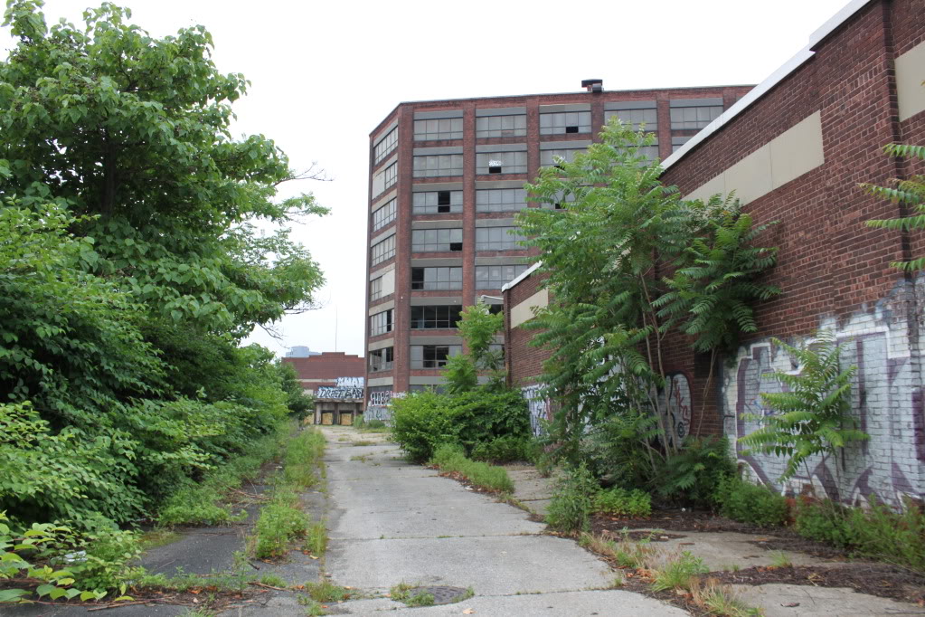 The Forgotten Past of New Jersey: The Hartz Mountain Factory