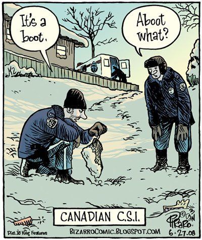 Mystery Fanfare: Cartoon of the Day: Canadian CSI