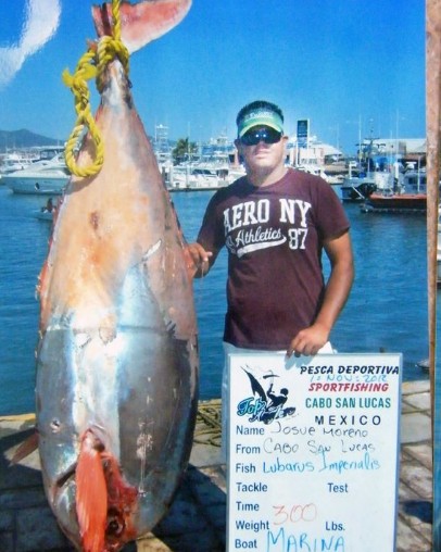 Big Fishes of the World: LOUVAR (Luvaras Imperialis)