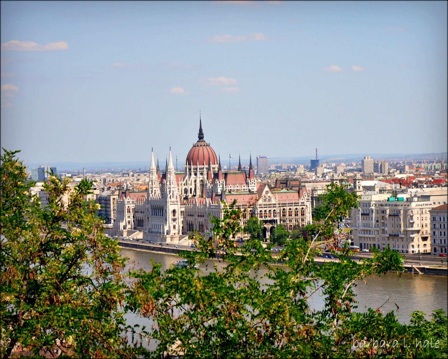 Commonplace Beauty Photography: Buda and Pest and Odds and Ends...