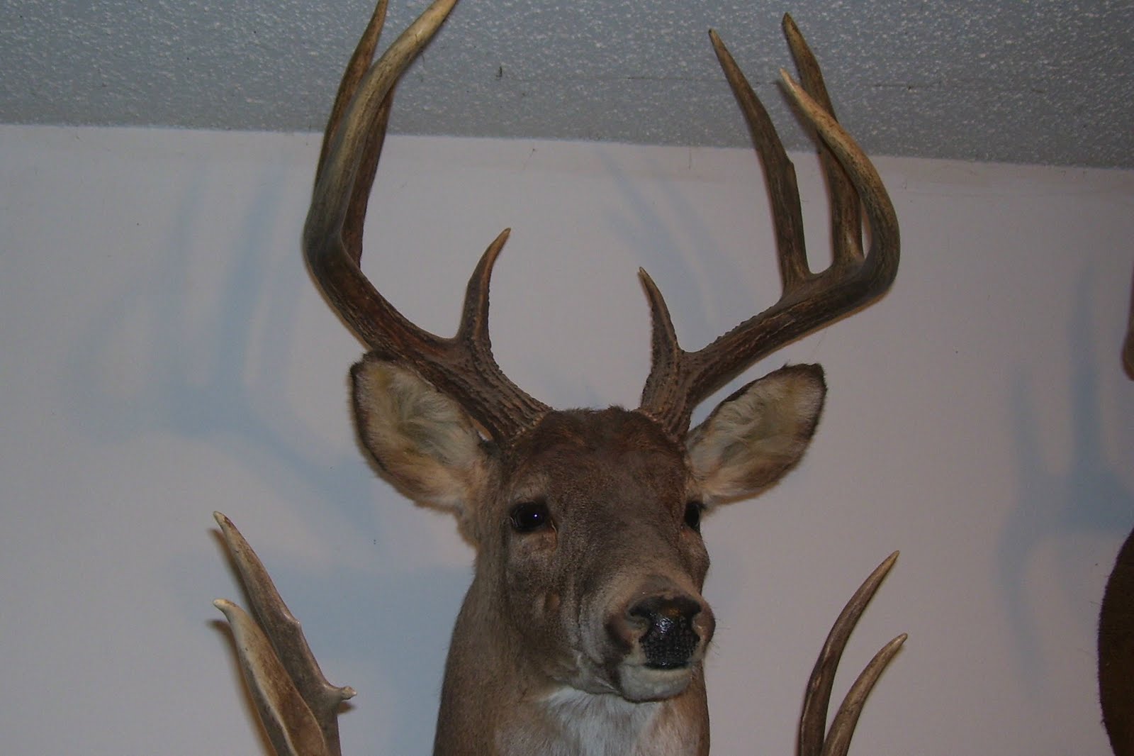 Hickery Holler Farm: Weekly Tally And Farm Update