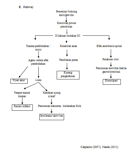 Mahasiswa Keperawatan: Makalah Presentasi Bokong Sectio caesaria