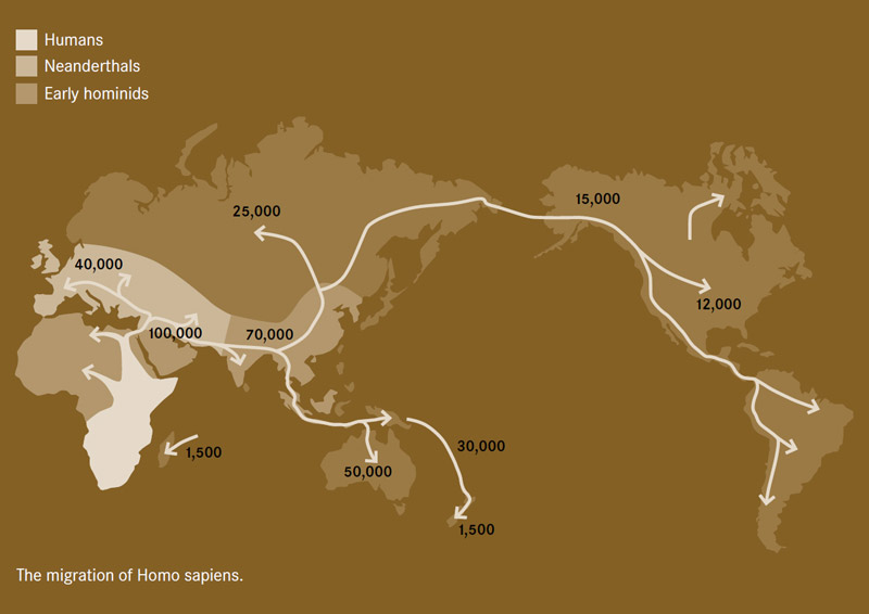 SPIGOLATURE SCIENTIFICHE: Il cammino dell'Homo sapiens sapiens