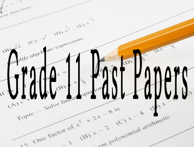Grade 11 Past Papers Our Maths Sir Grade 11 Past Papers Our Maths Sir
