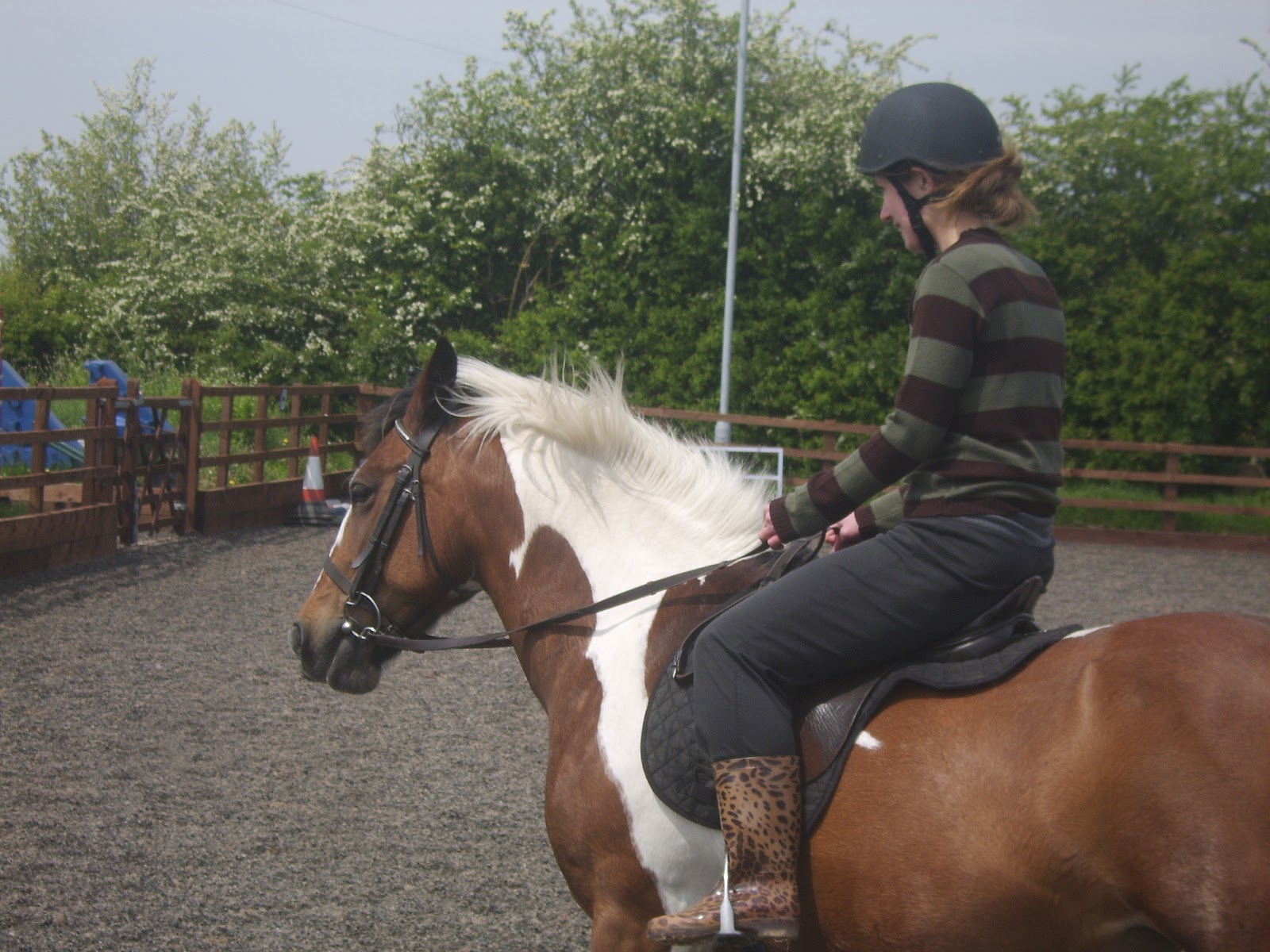 Project 30: Challenge #6: Sarah vs. Horse Riding