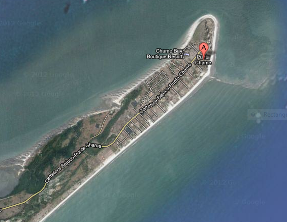 26 Days in Panama: Day 12—Feral Cats & Punta Chame