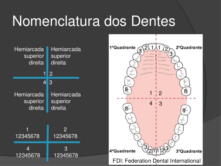 Um pouco de Odonto: NOTAÇÃO DENTÁRIA