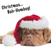 Out for Brekkie!: Bayside Cafe, Stokes Bay