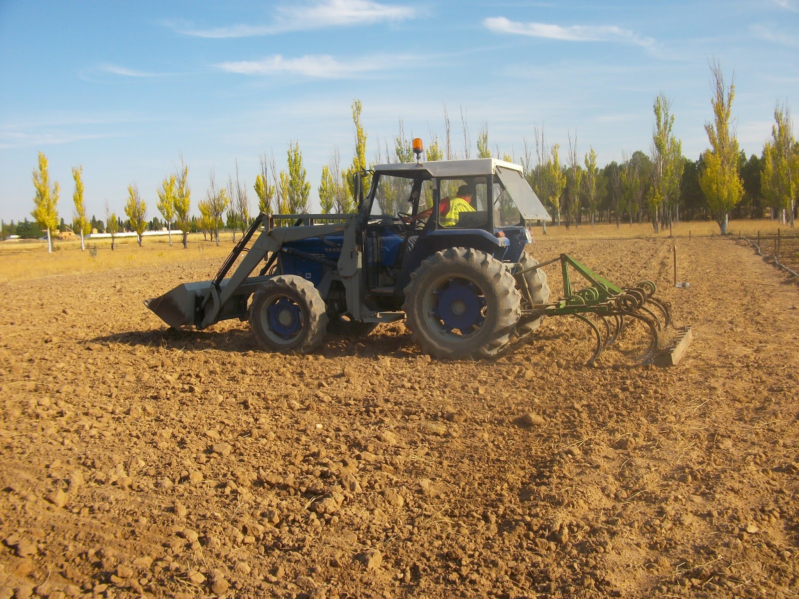 ECO-AGRICULTURA: MANTENIMIENTO DEL SUELO