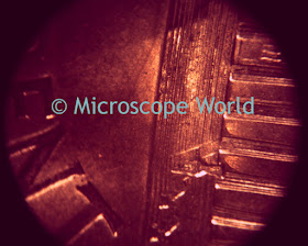 Microscope World Blog: Stereo Microscope Images