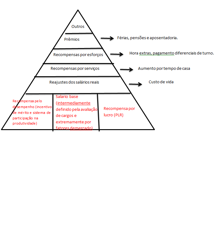 Politica Salarial ~ Recursos Humanos