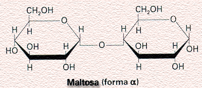 Bioquímica de los alimentos: Enzimas endógenas de los alimentos