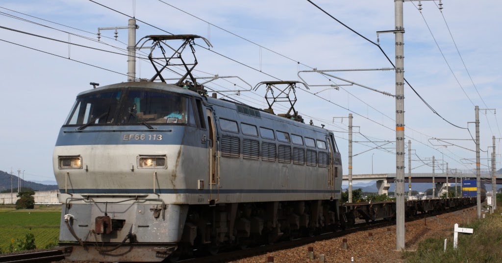 線路際の小さな幸せ: 2059レ EF66 113 『カンガルーライナーSS60』 空コキ多し。