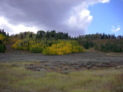 Utah Water Log: Miller Flat Road