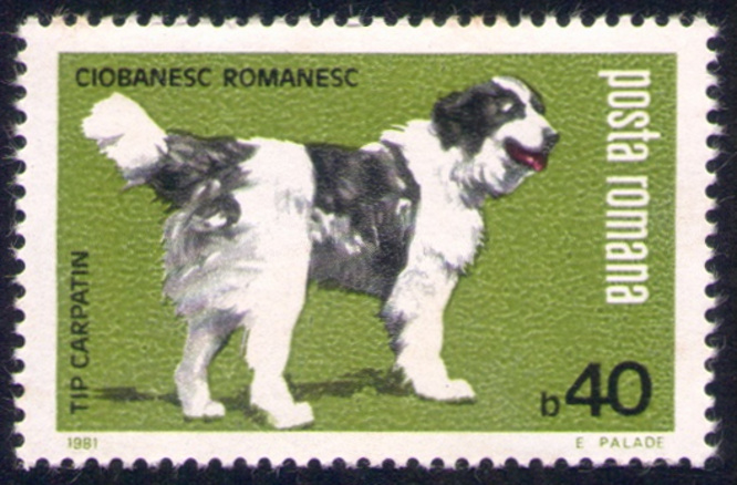 Timbre filatelice: Timbre cu animale-Expozitia Nationala Canina