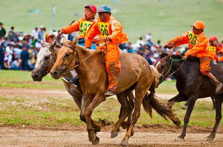 Mongolian Horse Racing - Your Introduction - Eternal Landscapes Mongolia