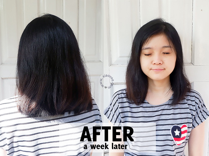 Terbaru 29+ Warna Rambut Blue Black Nyu