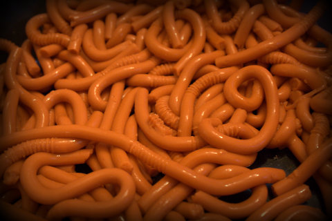 sarahsworld: DIY Halloween Jello Worms