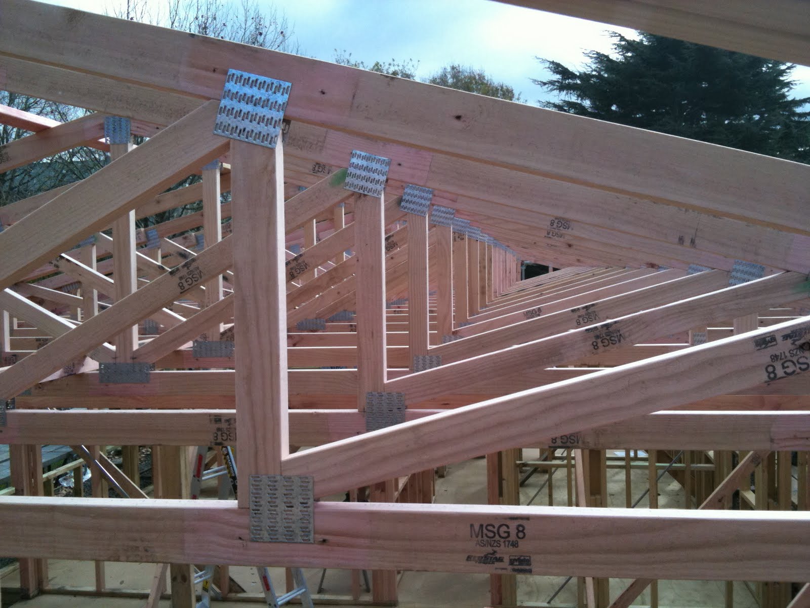 Kim Maea Nugent: Catch Up What Happened With Wall Frames & Trusses