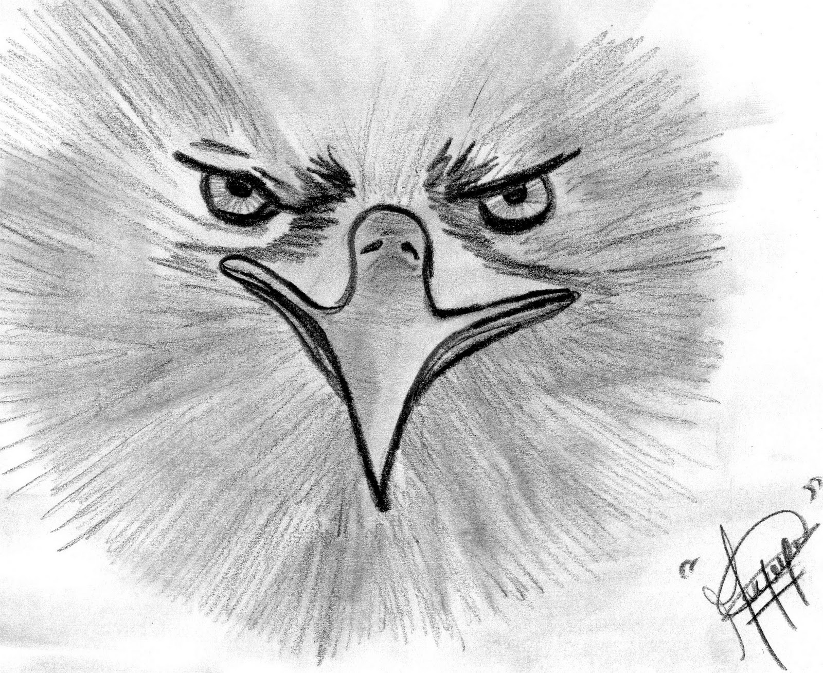 Tecnicas Del Dibujo Artistico