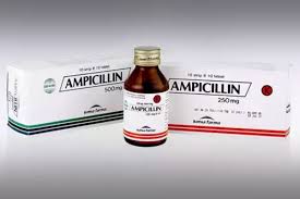 Edukasi Farmasi: EDISI FARMAKOLOGI - ANTIBIOTIKA GOLONGAN PENISILIN