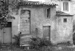 FORTE E GENTILE: The Dreamlife of Pascal D’Angelo