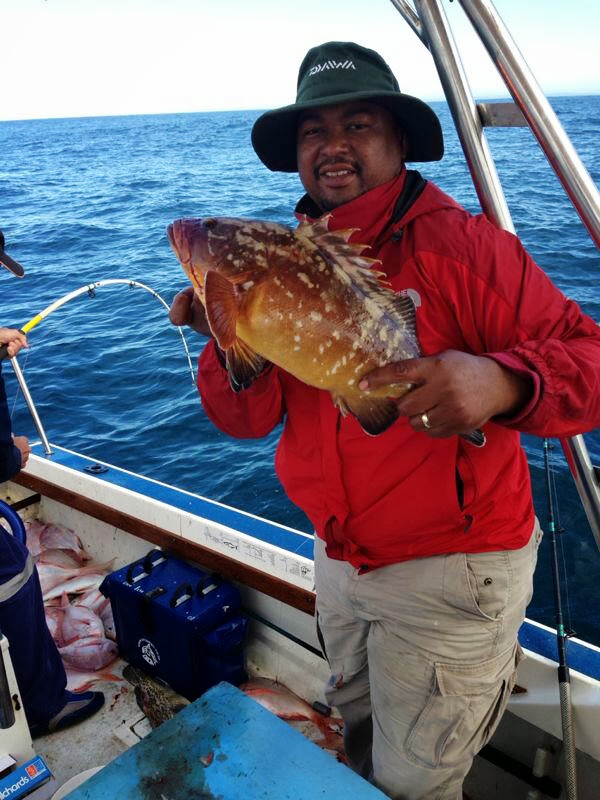 Fish Zone: Good days catch