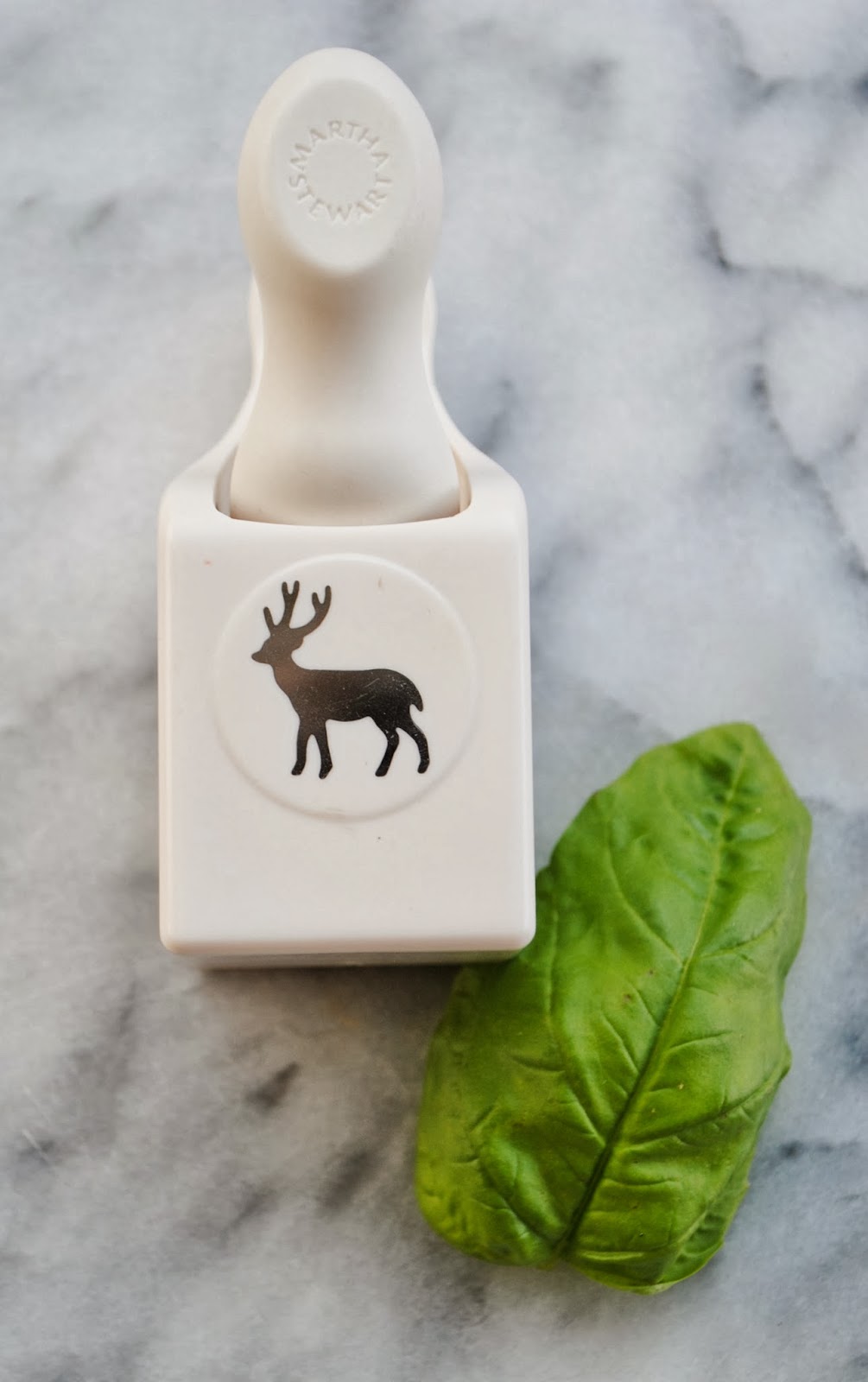 Jac o' lyn Murphy: Fried Tortellini with Merry-nara - the perfect ...