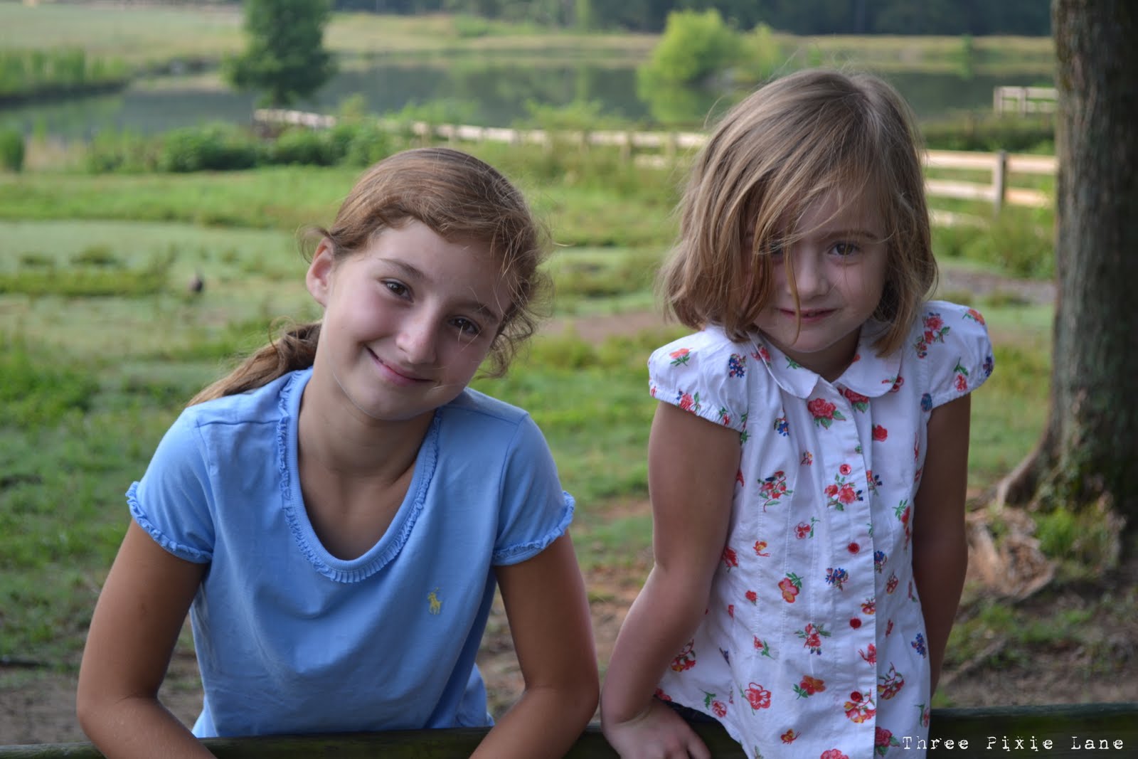 Three Pixie Lane: Country Living {Photography}