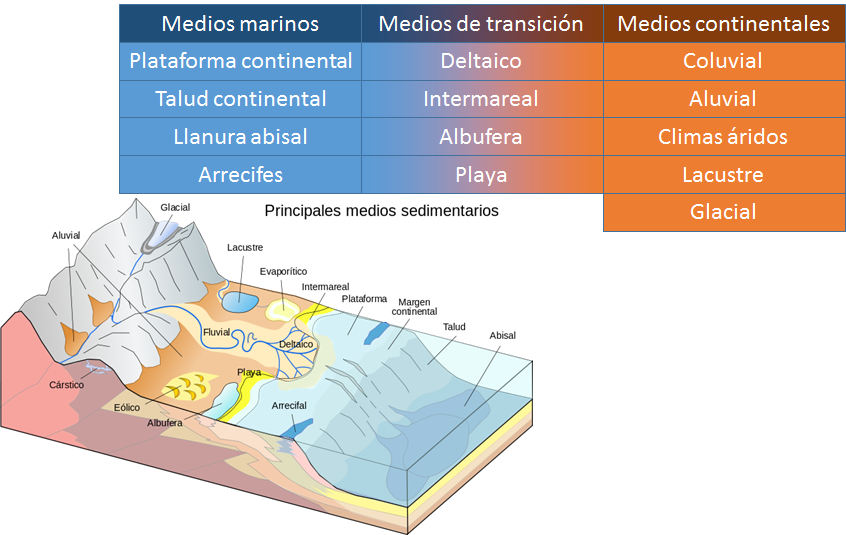 ¿Entiendes la ciencia?: Sedimentación y ambientes sedimentarios